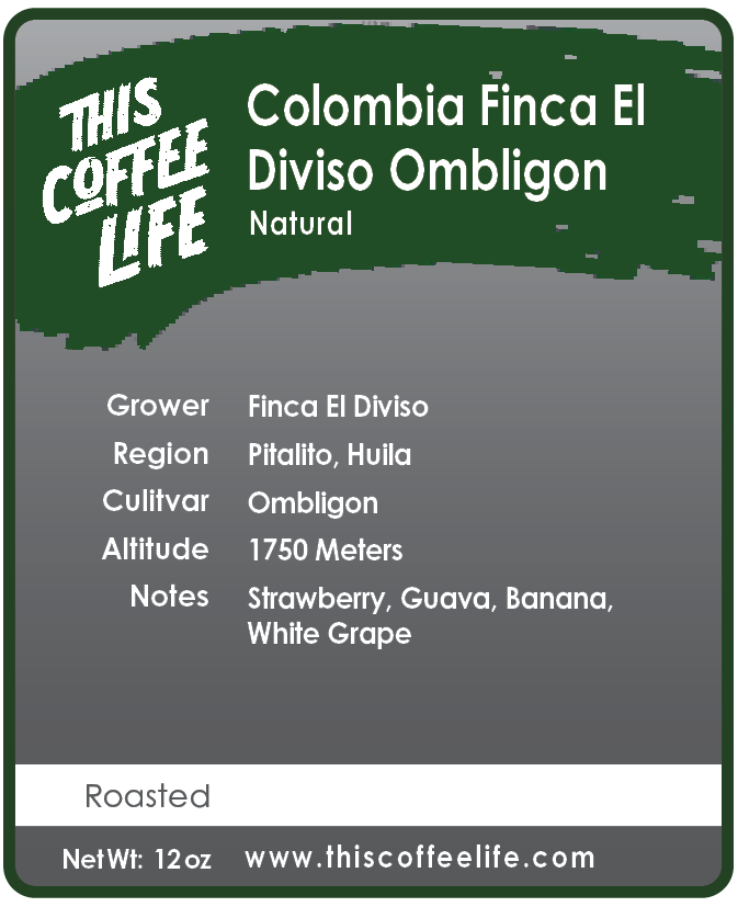 Colombia Finca El Diviso Ombligon Natural – ThisCoffeeLife